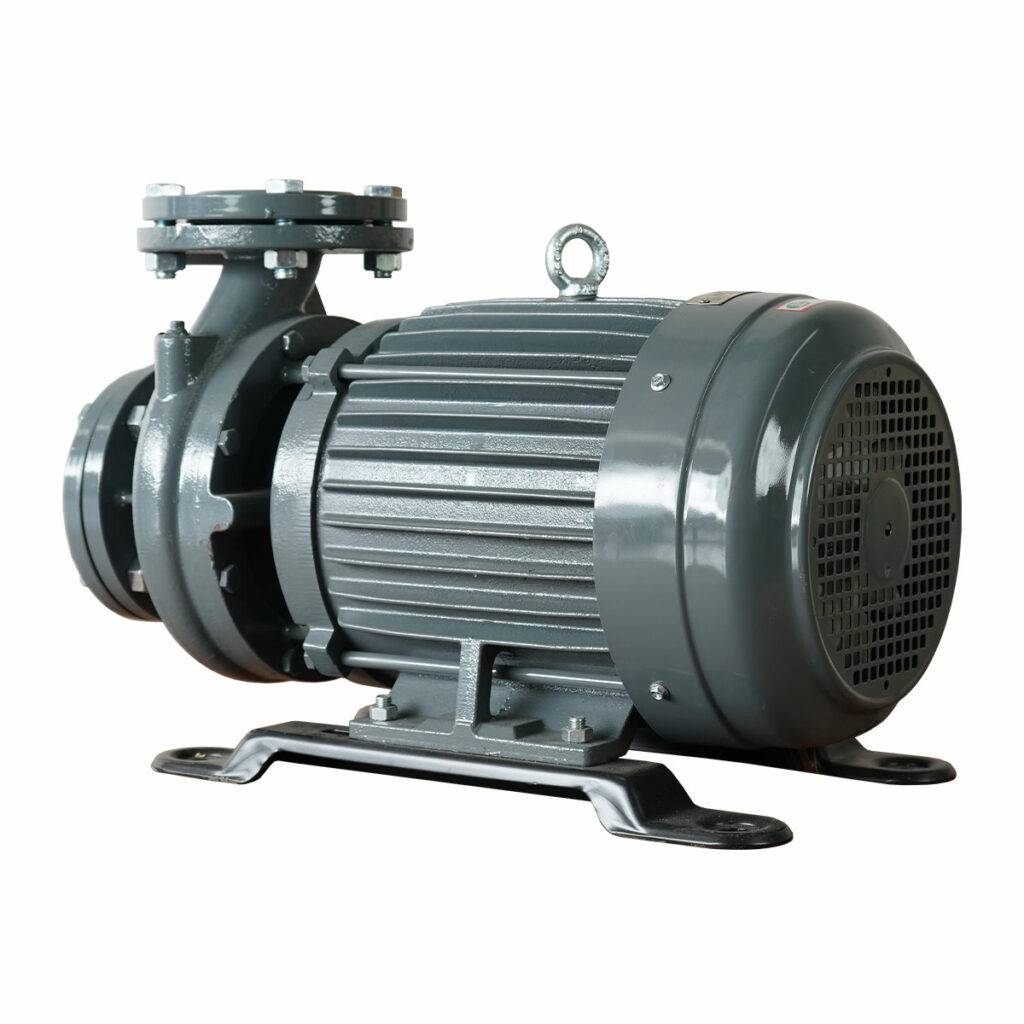 ปั๊มน้ำหอยโข่ง GSD รุ่น G31-50 - Thaipinnacle