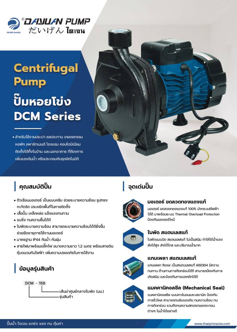 ปั๊มหอยโข่ง รุ่น DCM - ไทยพินนะเคิ้ล (TPE)