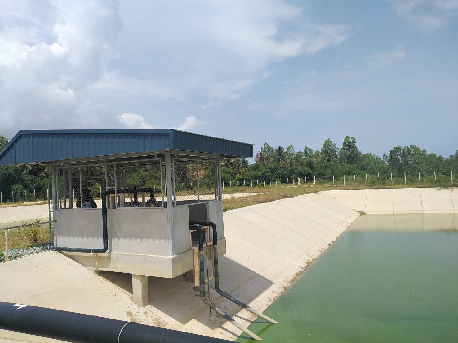 ปั๊มเซลฟ์ไพร์มมิ่ง (รุ่น GMP) - Thaipinnacle